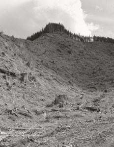 No. 41: Robert Adams – The Modern Art Notes Podcast