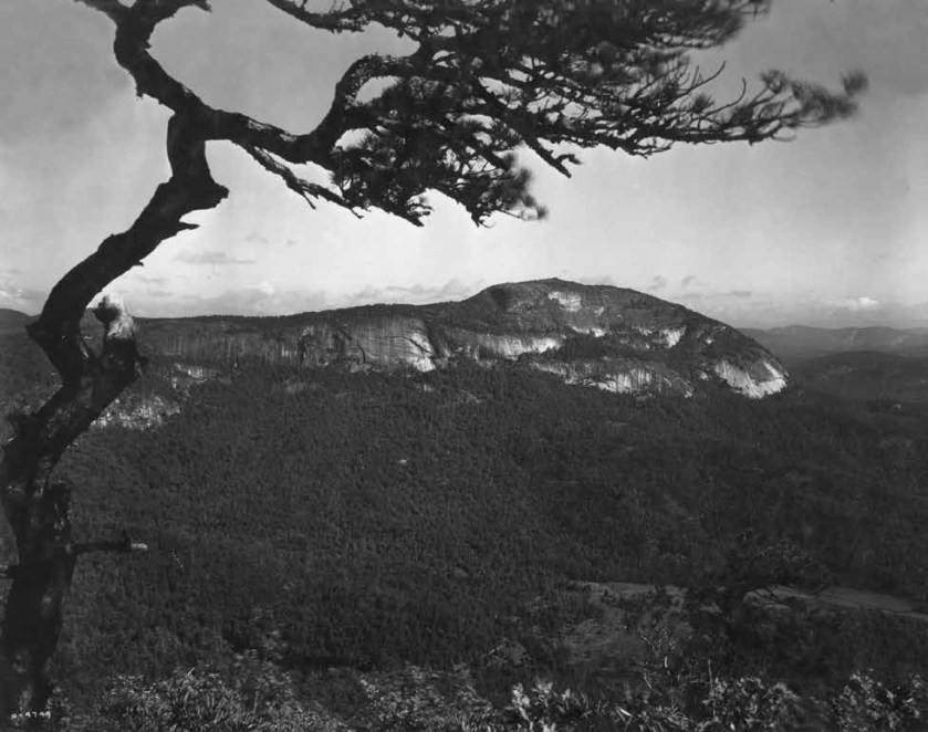 No. 567: Rose B. Simpson, George Masa – The Modern Art Notes Podcast